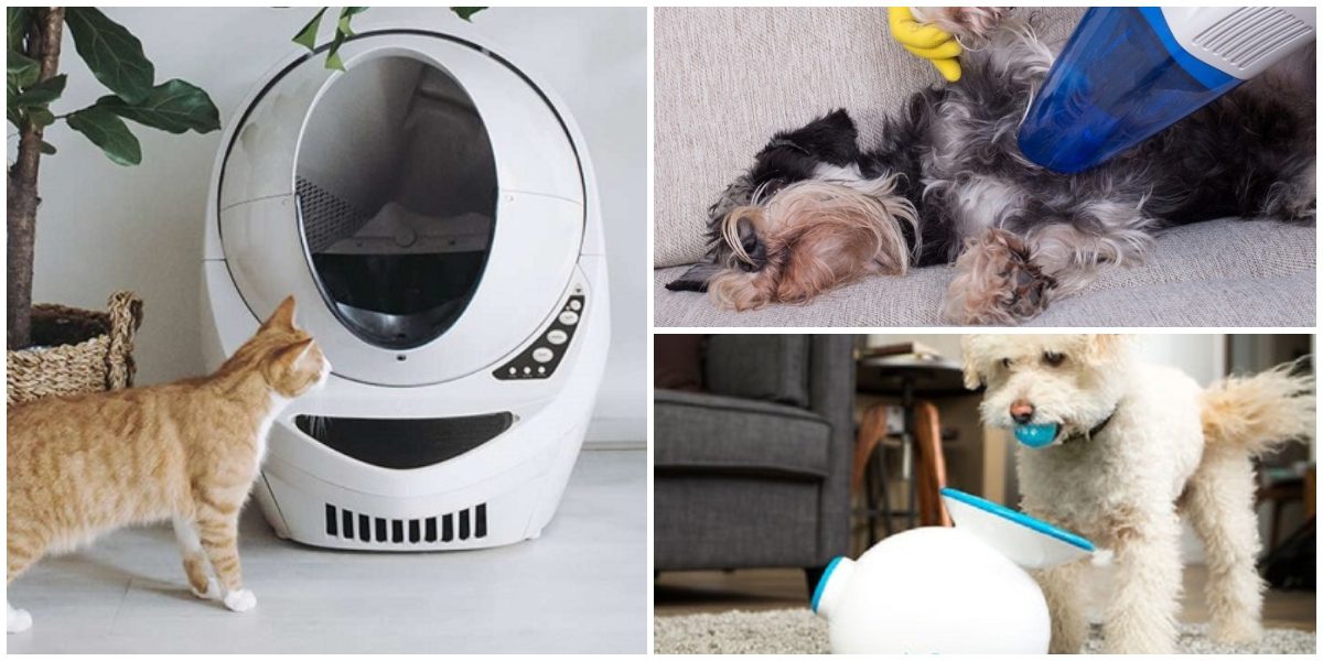 40 Clever Tips And Gadgets For Pets And Their Humans For A Tail-Wagging ...